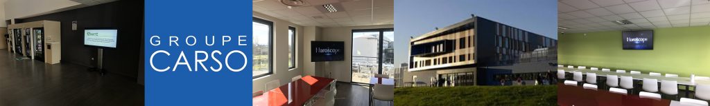 Digitalisation du Groupe CARSO - Dynamic View